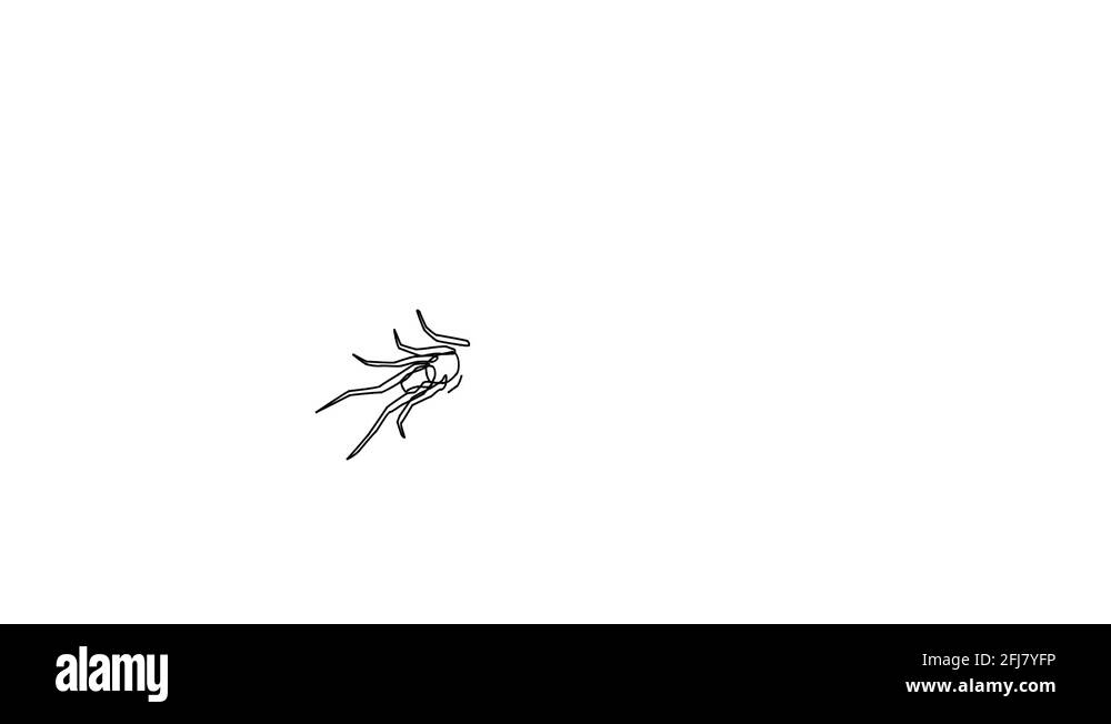 Animated drawing of centipede myriapod Stock Video Footage - Alamy