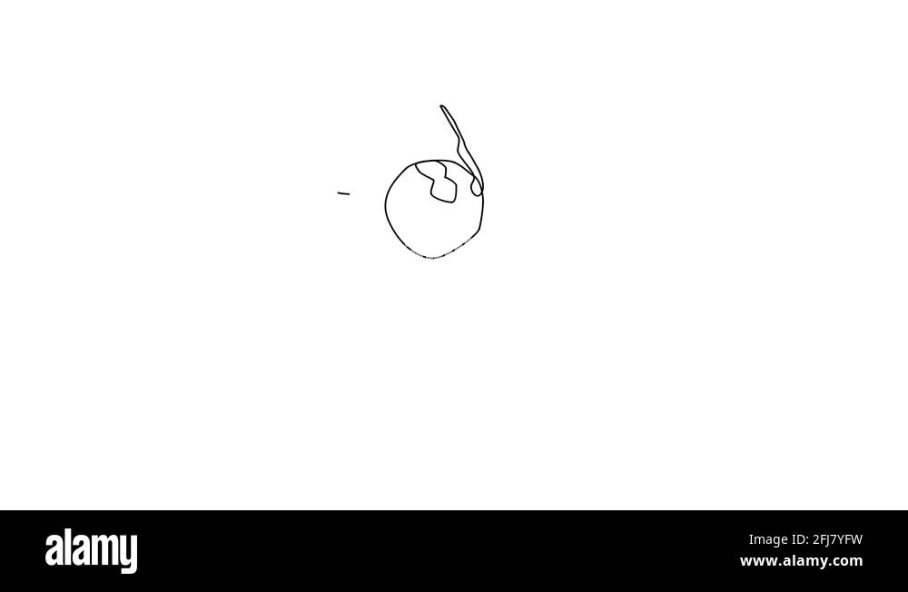 Arachnid drawing Stock Videos & Footage - HD and 4K Video Clips - Alamy