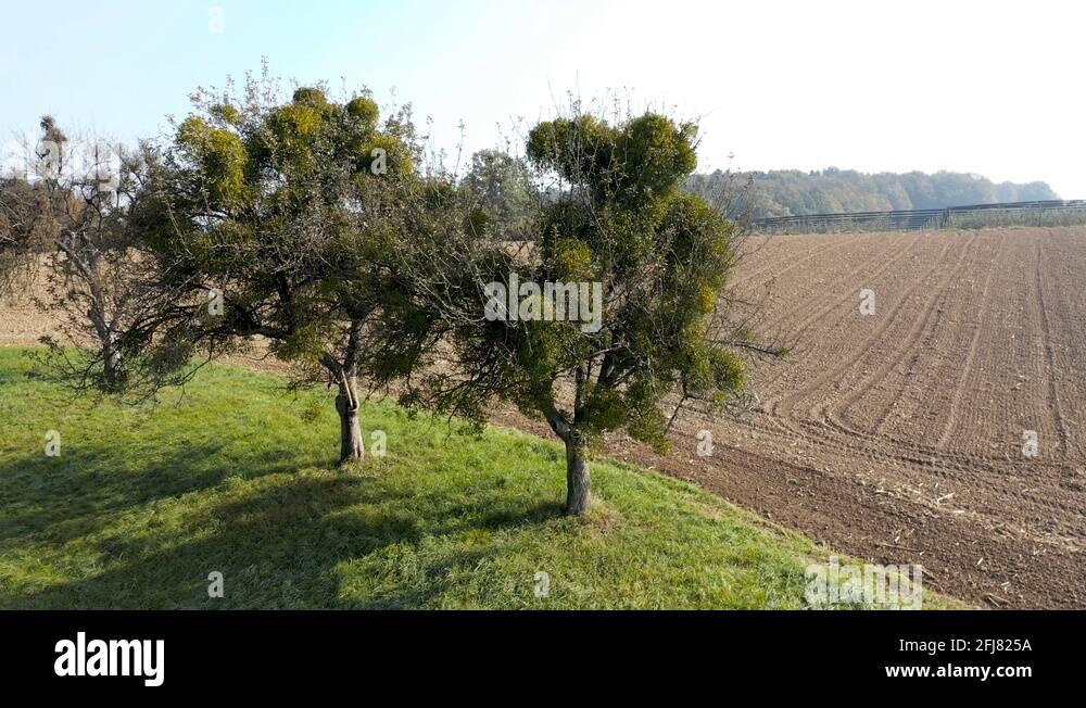 Sloped field Stock Videos & Footage - HD and 4K Video Clips - Alamy