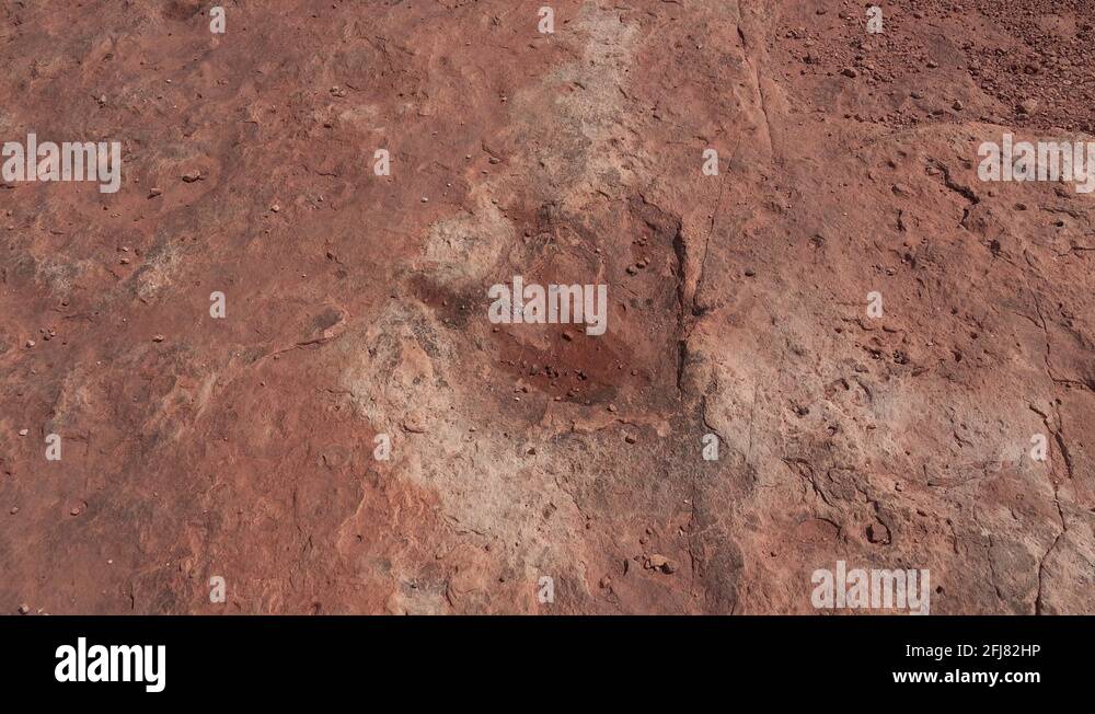 Three-toed footprint in Moenkopi Dinosaur Tracks, Tuba City, AZ, USA ...