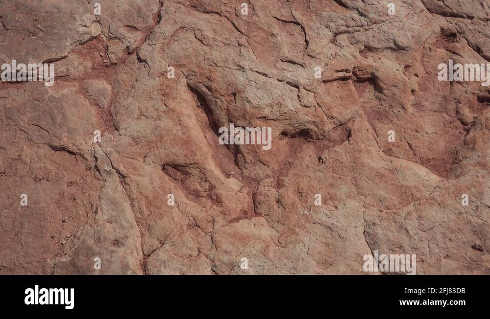 Dinosaur route Stock Videos & Footage - HD and 4K Video Clips - Alamy