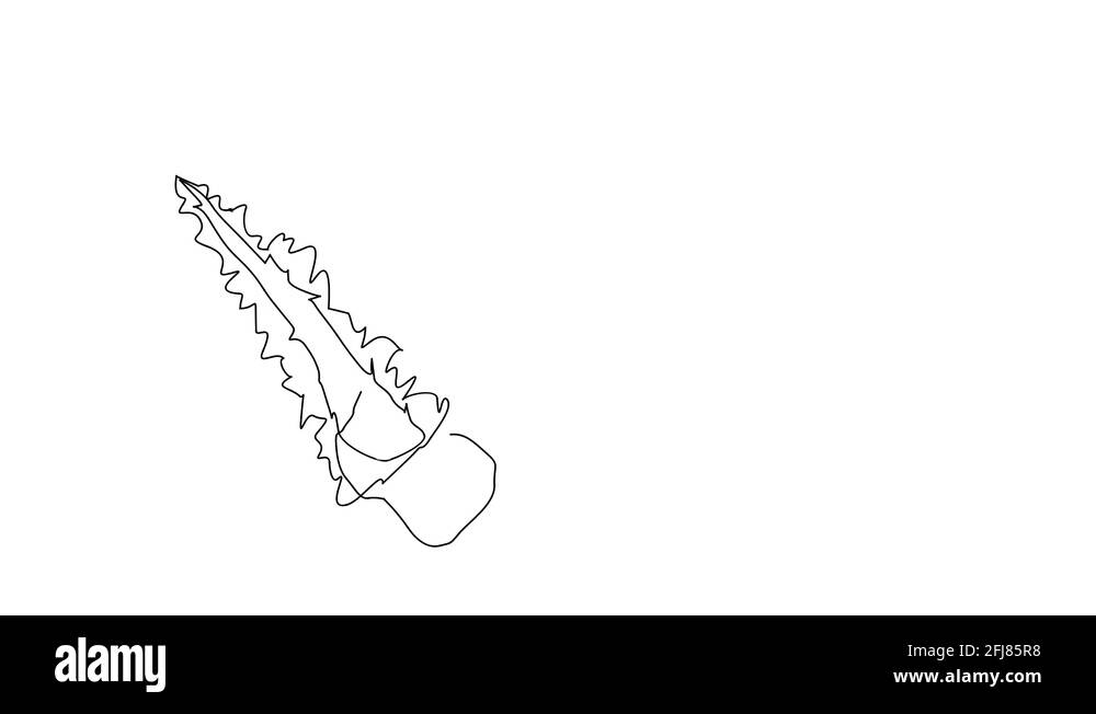 Animated drawing of monster claw ripping clawing through wall Stock ...