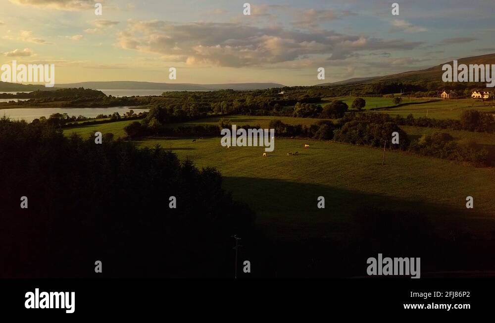 Lough allen Stock Videos & Footage - HD and 4K Video Clips - Alamy