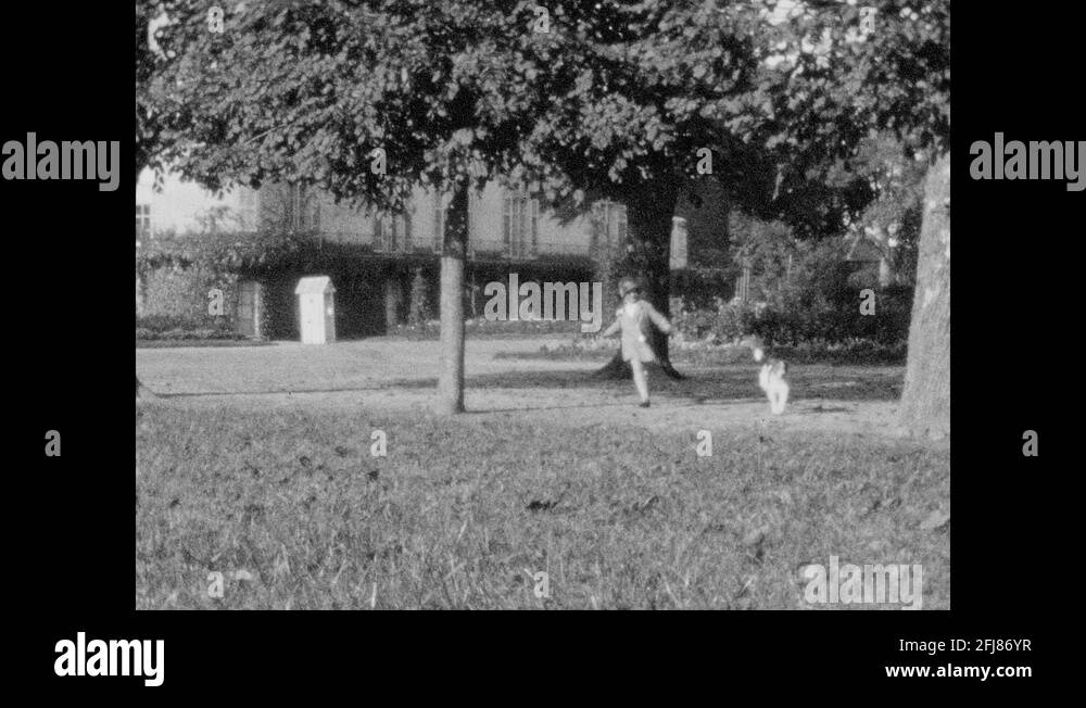 Run up trees Stock Videos & Footage - HD and 4K Video Clips - Alamy