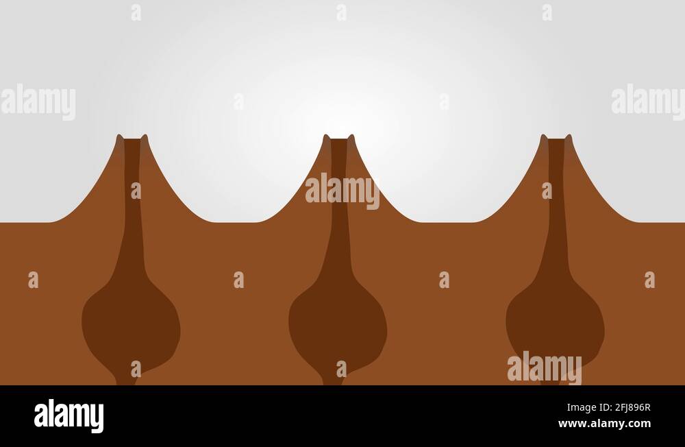 volcano stage infographic / extinct dormant and active volcano graphic ...