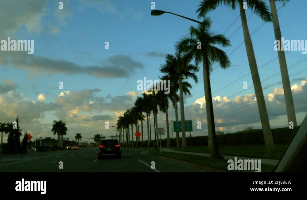 Beautiful palm trees Stock Videos & Footage - HD and 4K Video Clips - Alamy