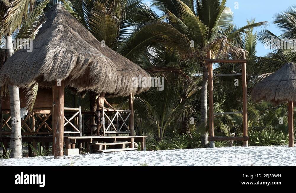 Dog man hut Stock Videos & Footage - HD and 4K Video Clips - Alamy