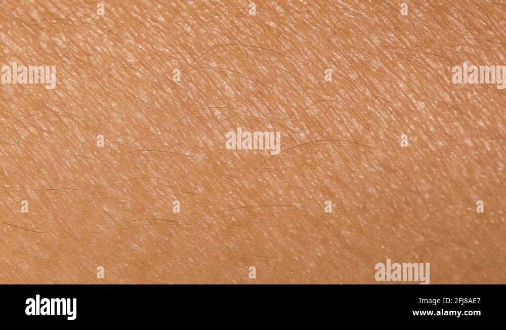 women skin texture closeup animation Stock Video Footage - Alamy