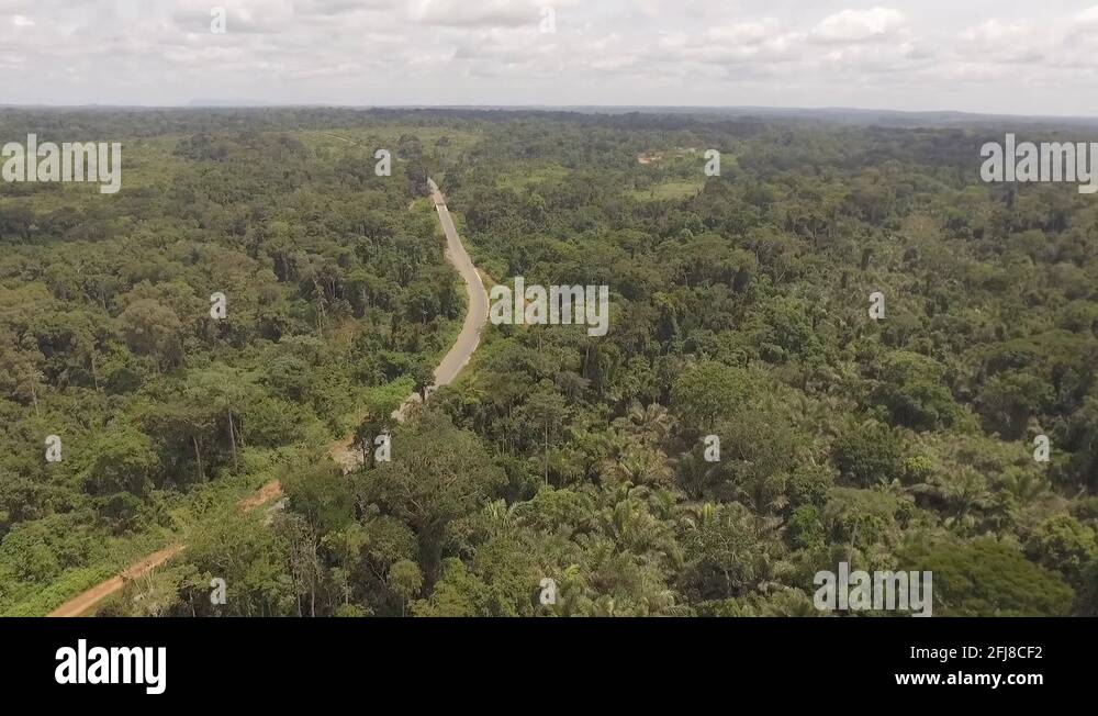 African rainforest deforestation Stock Videos & Footage - HD and 4K ...