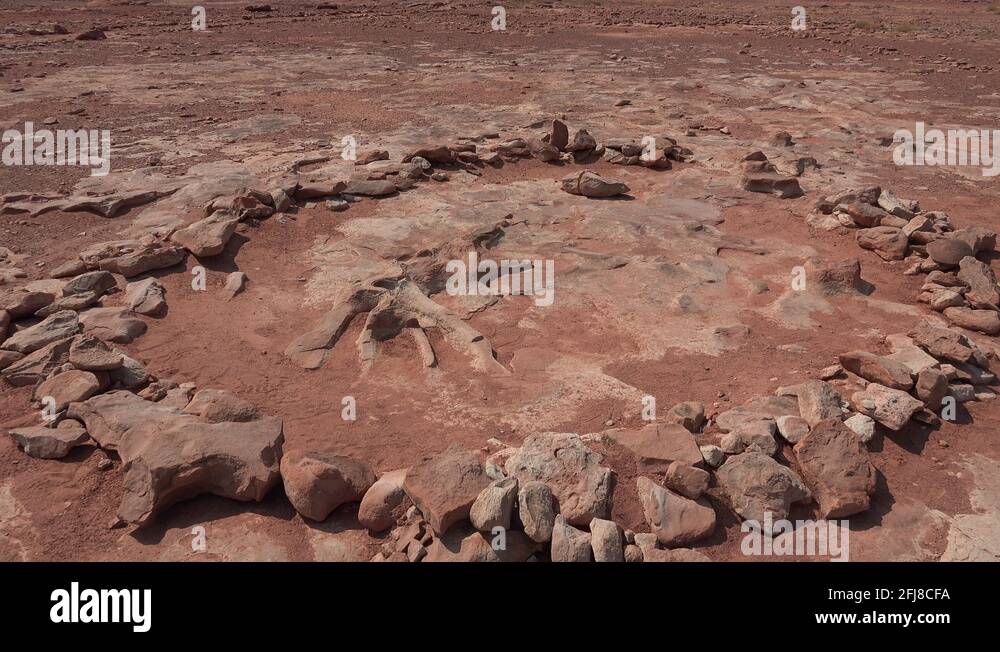 Dinosaur fossil tracks in arizona Stock Videos & Footage - HD and 4K ...