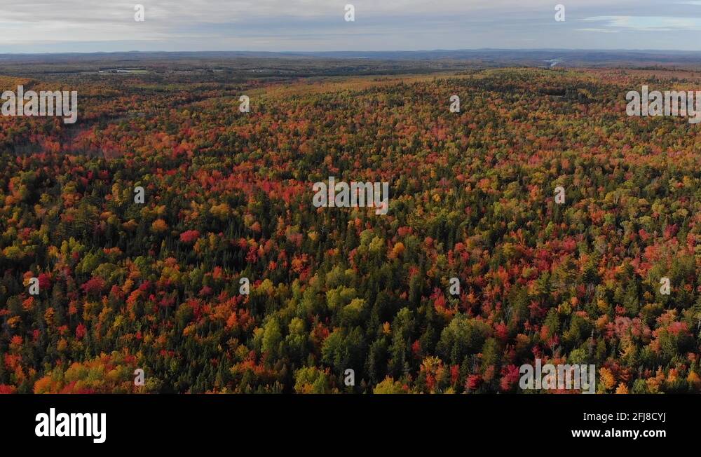 Colorful fall scenery Stock Videos & Footage - HD and 4K Video Clips ...