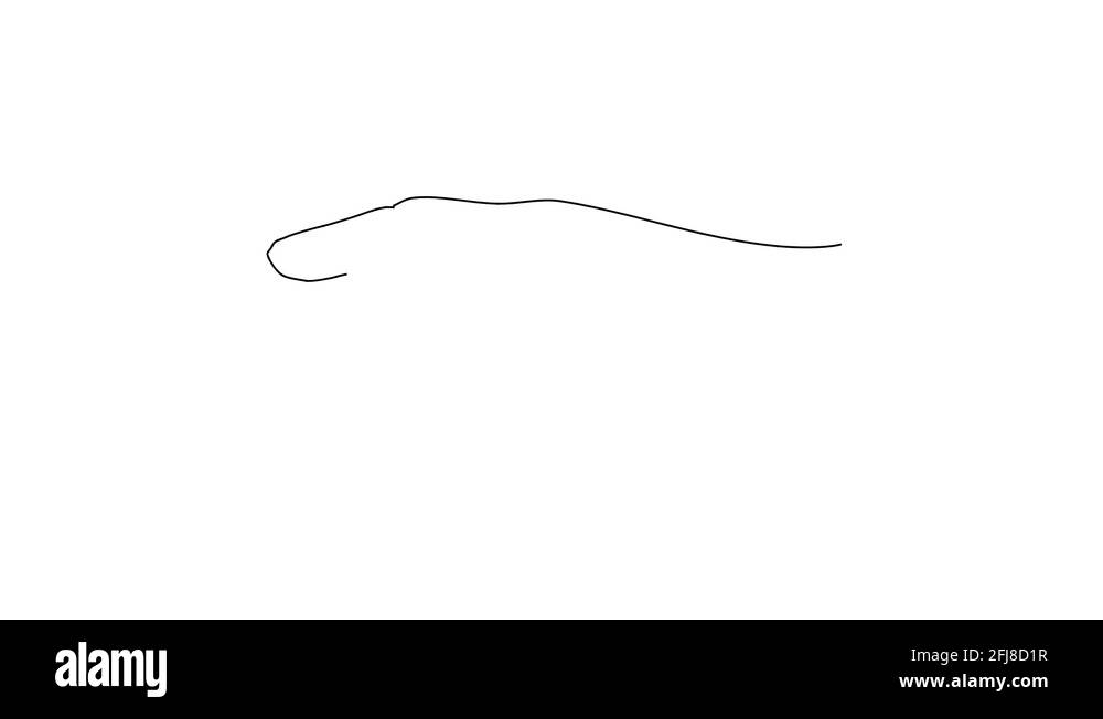 Animated drawing of hand shape open palm facing down Stock Video ...