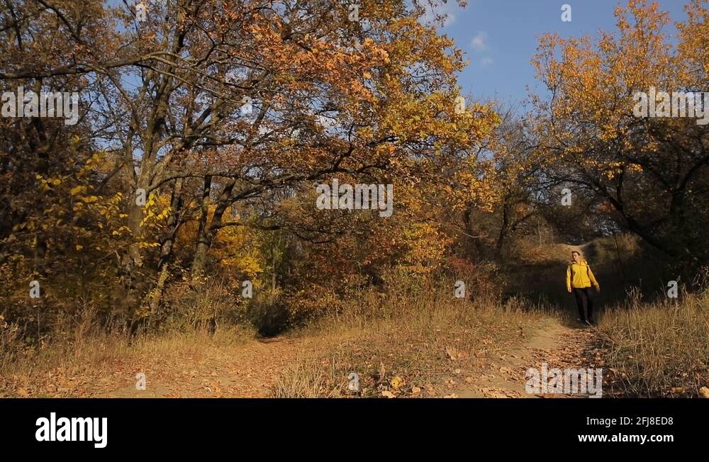 Hiking man in yellow jacket Stock Videos & Footage - HD and 4K Video ...
