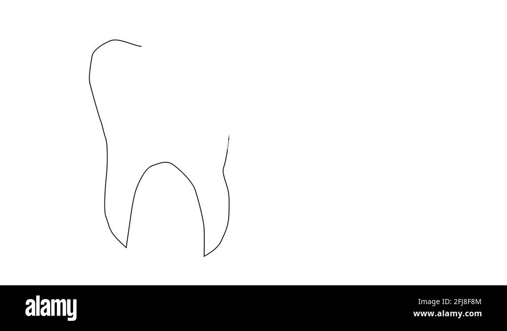 Animated drawing of dental tooth white molar Stock Video Footage - Alamy