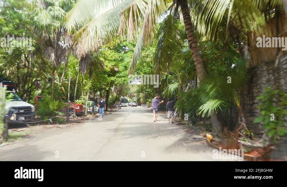 Tulum road Stock Videos & Footage - HD and 4K Video Clips - Alamy