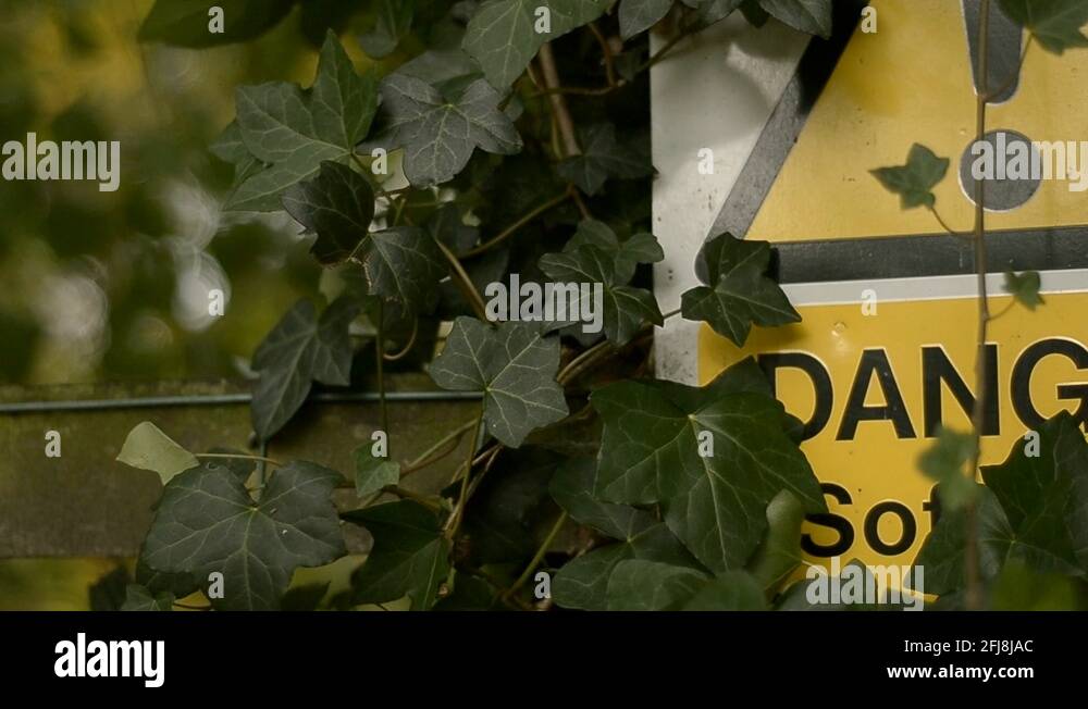 Hidden sign Stock Videos & Footage - HD and 4K Video Clips - Alamy