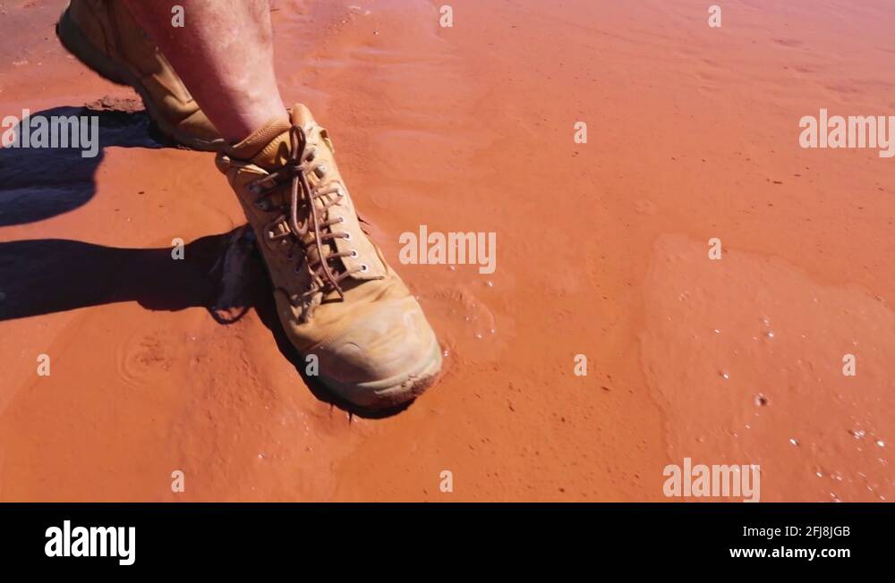 Colours of the australian bush Stock Videos & Footage - HD and 4K Video ...