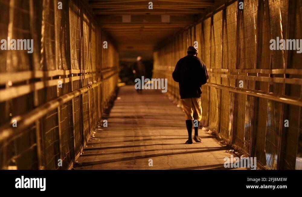 Walkway tunnel Stock Videos & Footage - HD and 4K Video Clips - Alamy