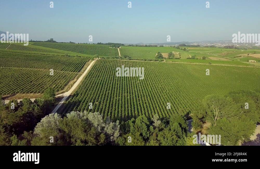 Photosynthesis crops Stock Videos & Footage - HD and 4K Video Clips - Alamy