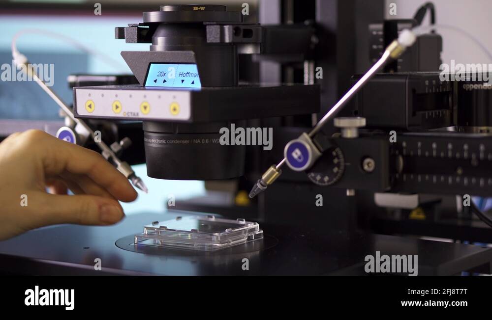 Laser microscope Stock Videos & Footage - HD and 4K Video Clips - Alamy