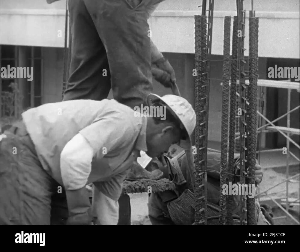 Fellow worker Stock Videos & Footage - HD and 4K Video Clips - Alamy