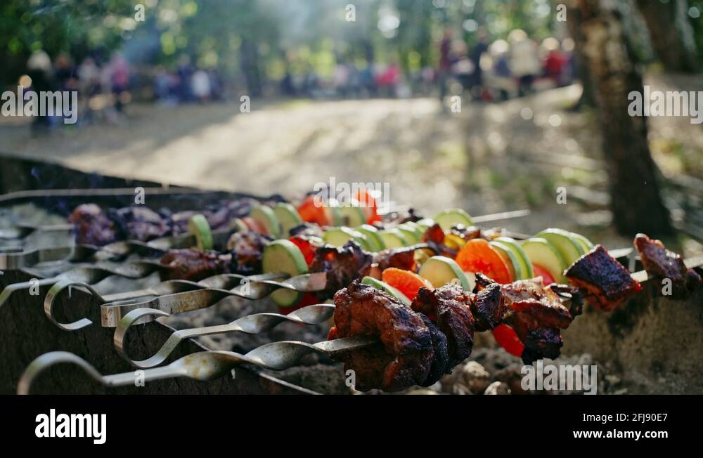 Barbecue nature Stock Videos & Footage - HD and 4K Video Clips - Alamy