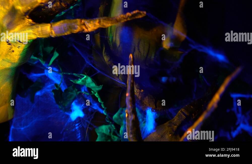 Odd expressions Stock Videos & Footage - HD and 4K Video Clips - Alamy