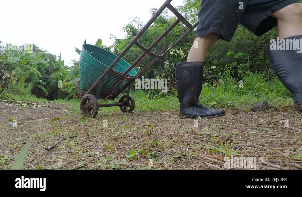 Farmer pulling a cart Stock Videos & Footage - HD and 4K Video Clips ...