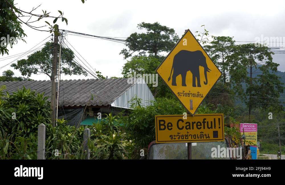 Thai warning sign Stock Videos & Footage - HD and 4K Video Clips - Alamy