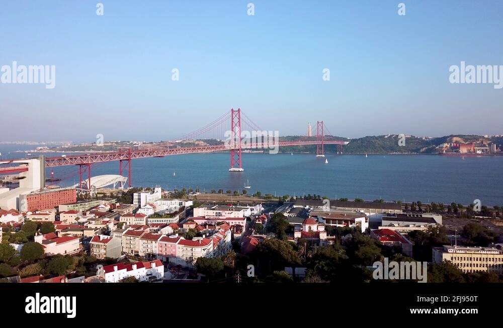 Carnation birds Stock Videos & Footage - HD and 4K Video Clips - Alamy