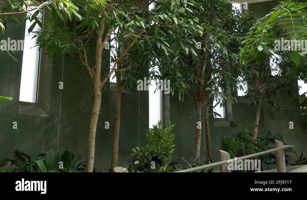 Aviary building Stock Videos & Footage - HD and 4K Video Clips - Alamy