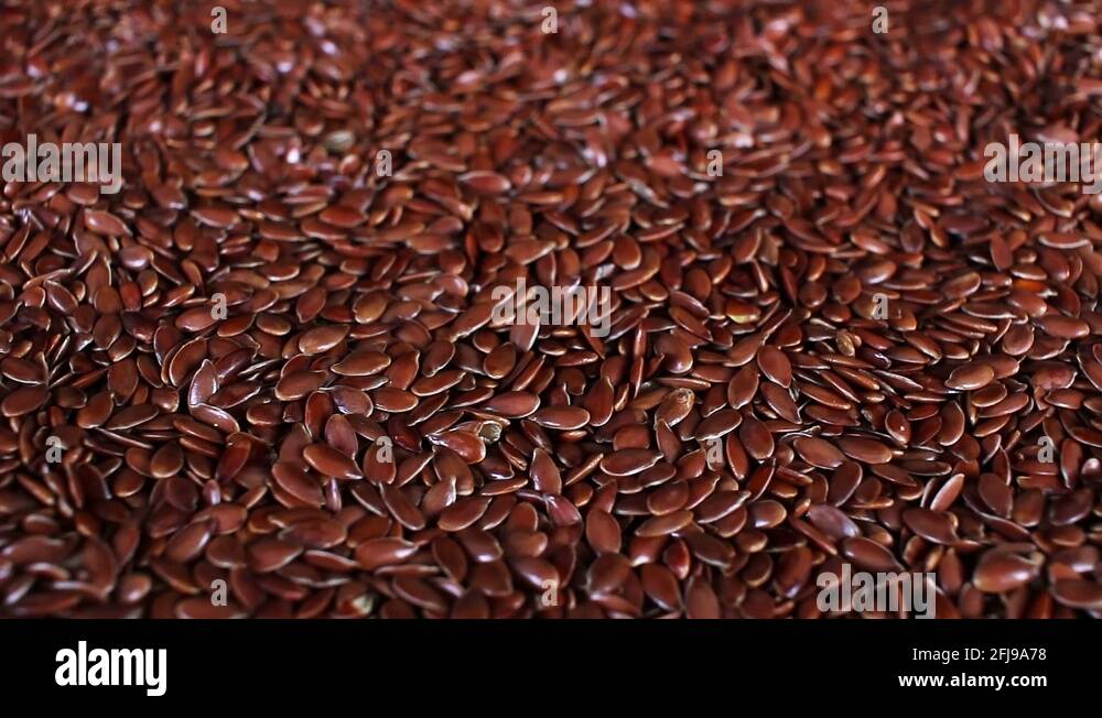 Seed linseed Stock Videos & Footage - HD and 4K Video Clips - Alamy