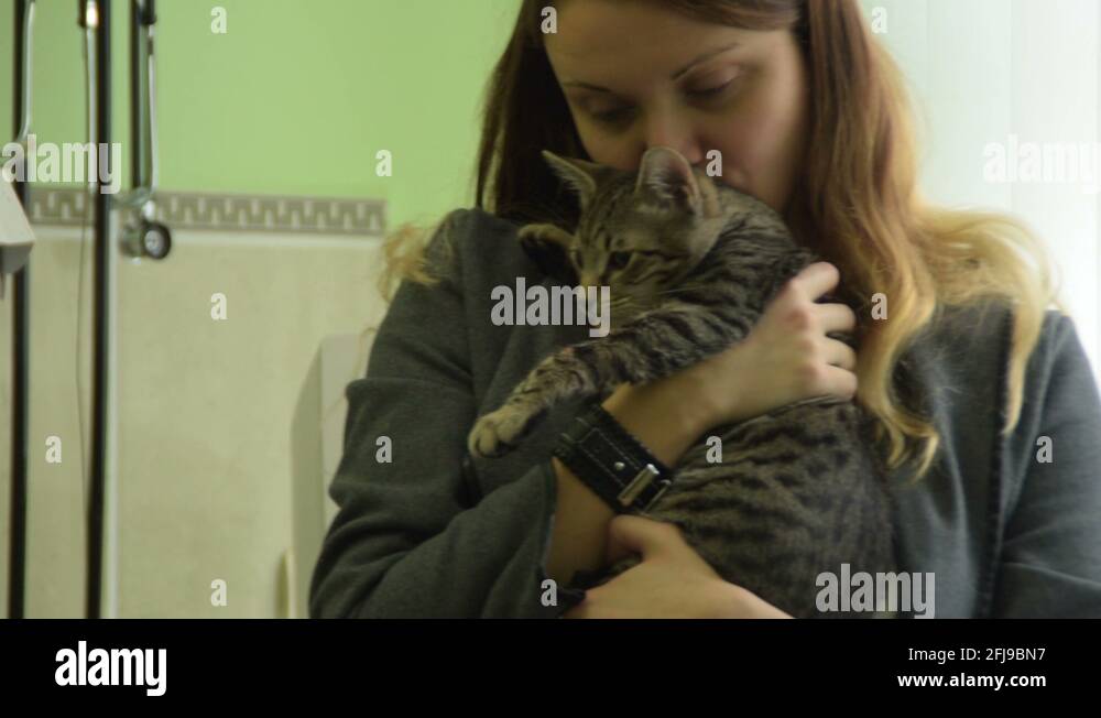 Woman hug cat Stock Videos & Footage - HD and 4K Video Clips - Alamy