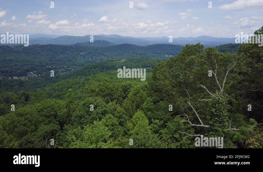 North carolina forests Stock Videos & Footage - HD and 4K Video Clips ...
