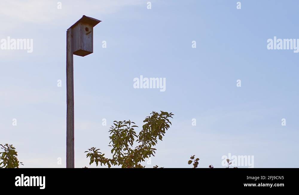 Pole mounted box Stock Videos & Footage - HD and 4K Video Clips - Alamy