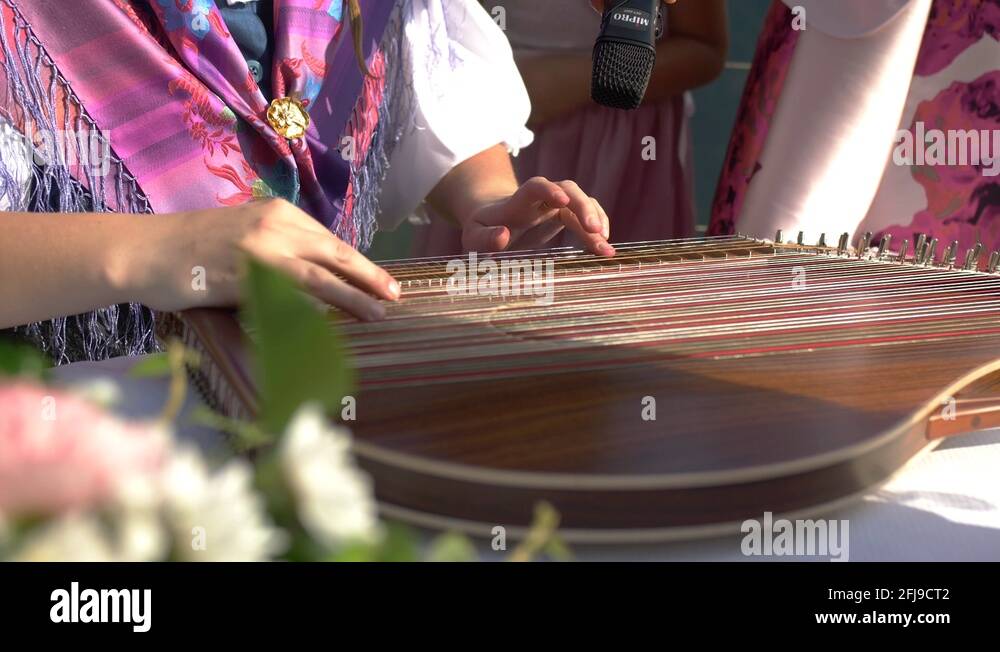 Zither player Stock Videos & Footage - HD and 4K Video Clips - Alamy