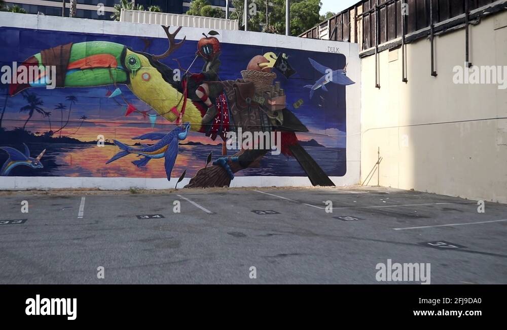 Parrot mural Stock Videos & Footage - HD and 4K Video Clips - Alamy