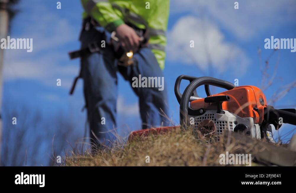 The climbing arborist Stock Videos & Footage - HD and 4K Video Clips ...