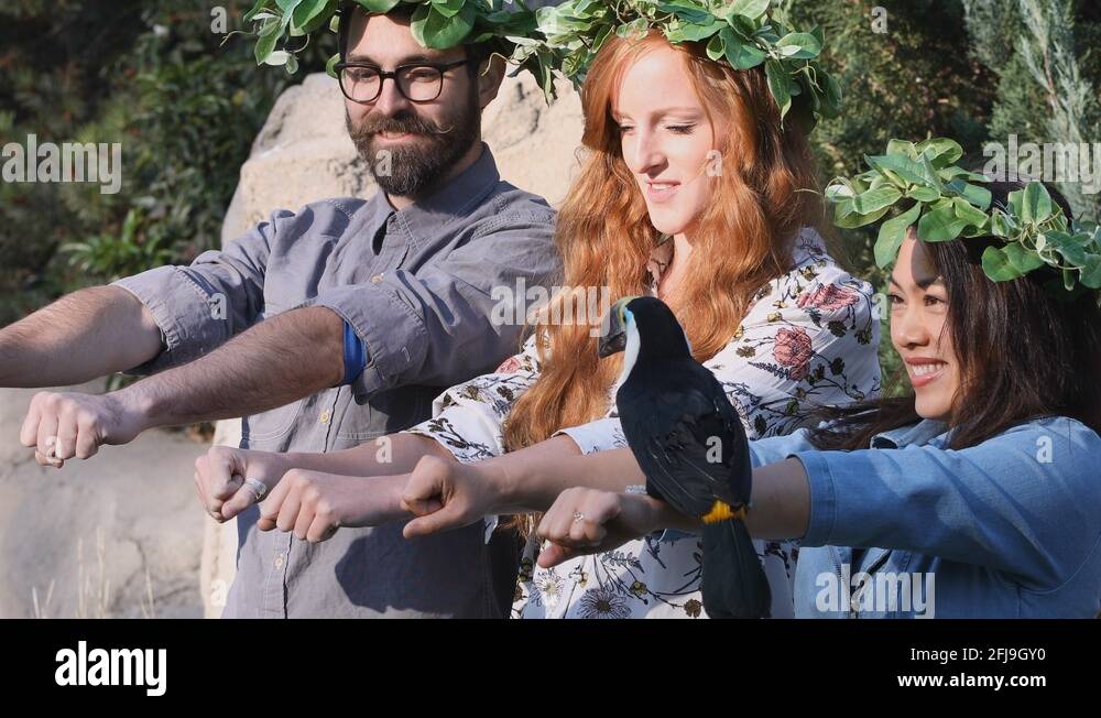 Head headed Stock Videos & Footage - HD and 4K Video Clips - Alamy