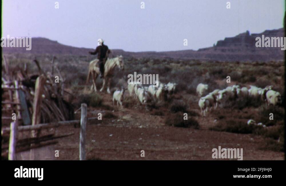 Sheep Ranch Family Navajo Indians Woman Children 1960s Vintage Film ...
