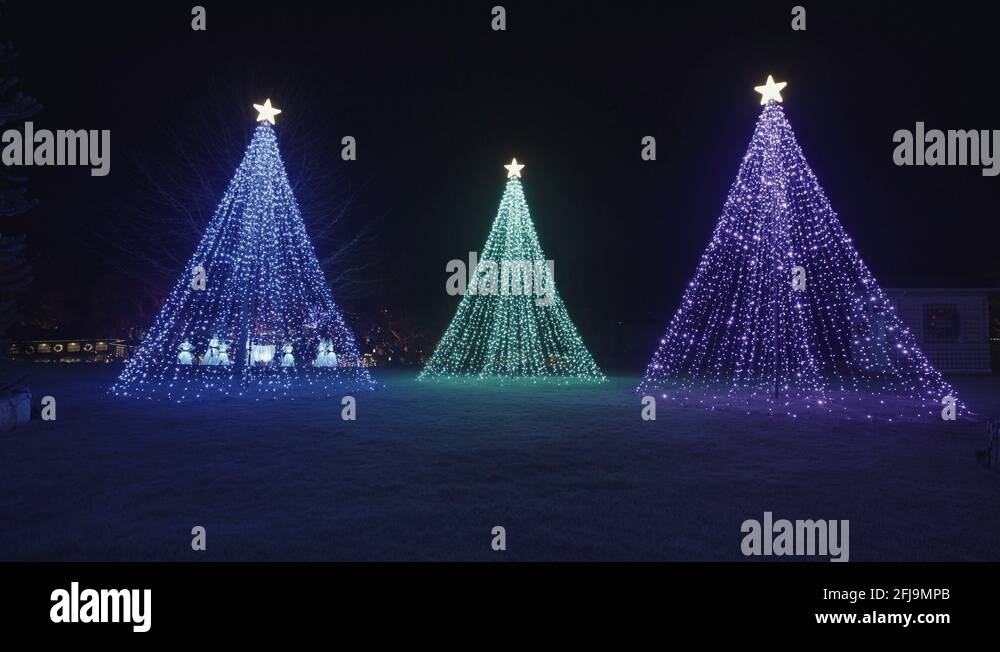 Three holy trees Stock Videos & Footage - HD and 4K Video Clips - Alamy