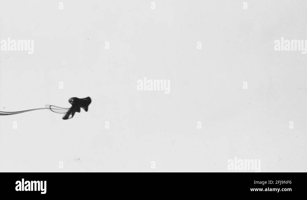 Black jet of ink on white background. Beautiful movements of black ...