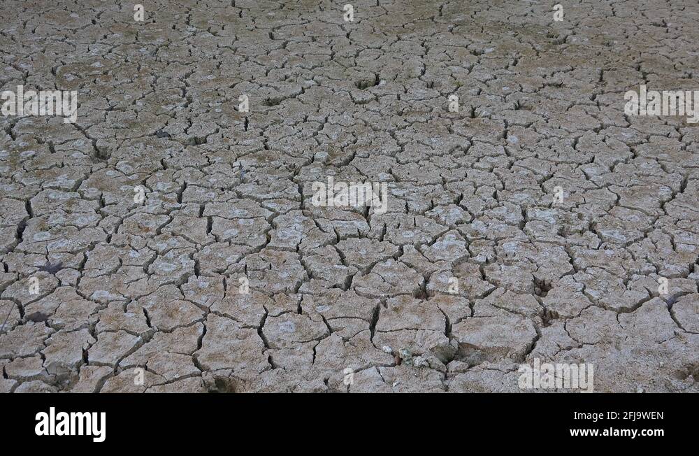 Dry cracking clay soil pattern Stock Videos & Footage - HD and 4K Video ...