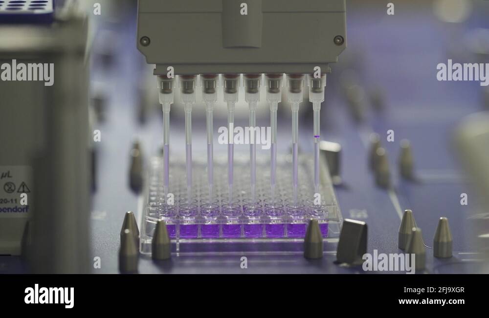 Purple pipes Stock Videos & Footage - HD and 4K Video Clips - Alamy