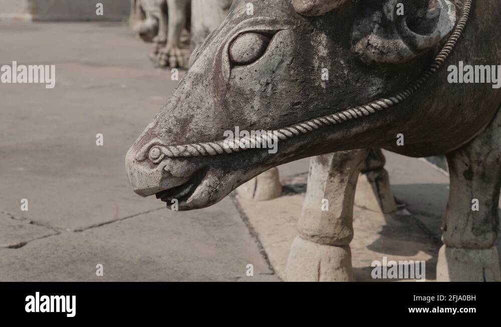 Ox statue Stock Videos & Footage - HD and 4K Video Clips - Alamy