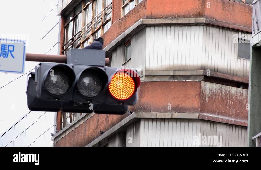 Bird on stop sign Stock Videos & Footage - HD and 4K Video Clips - Alamy
