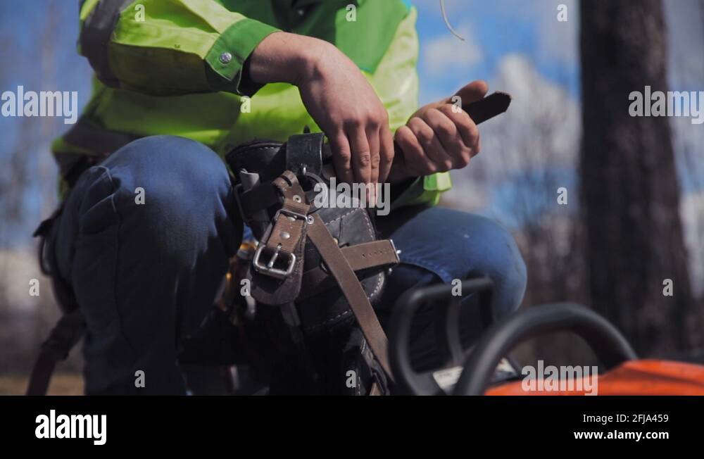 Claws for climbing Stock Videos & Footage - HD and 4K Video Clips - Alamy