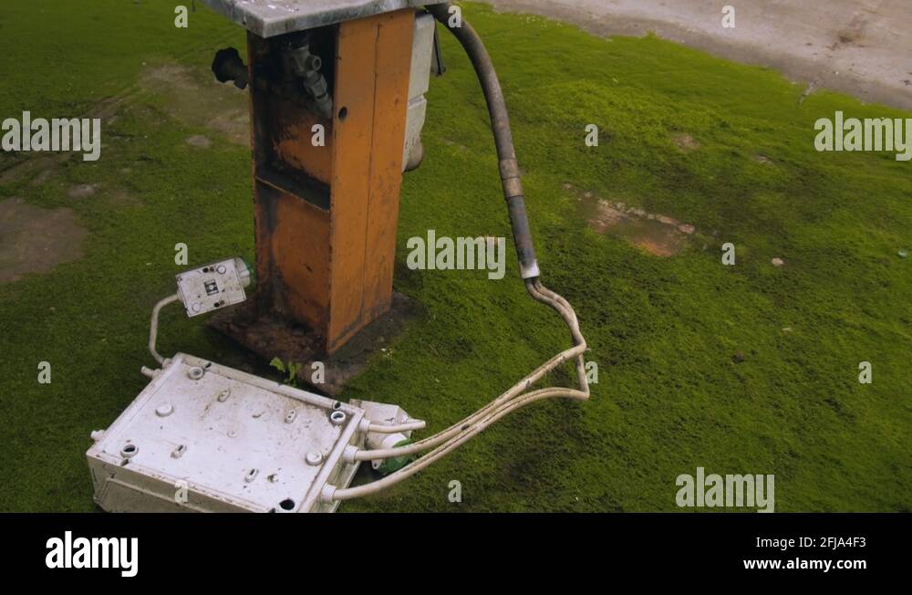 Hall of moss Stock Videos & Footage - HD and 4K Video Clips - Alamy