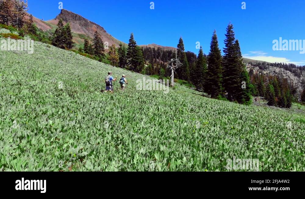 Windy trail Stock Videos & Footage - HD and 4K Video Clips - Alamy