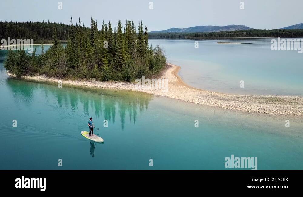 Backward man Stock Videos & Footage - HD and 4K Video Clips - Alamy